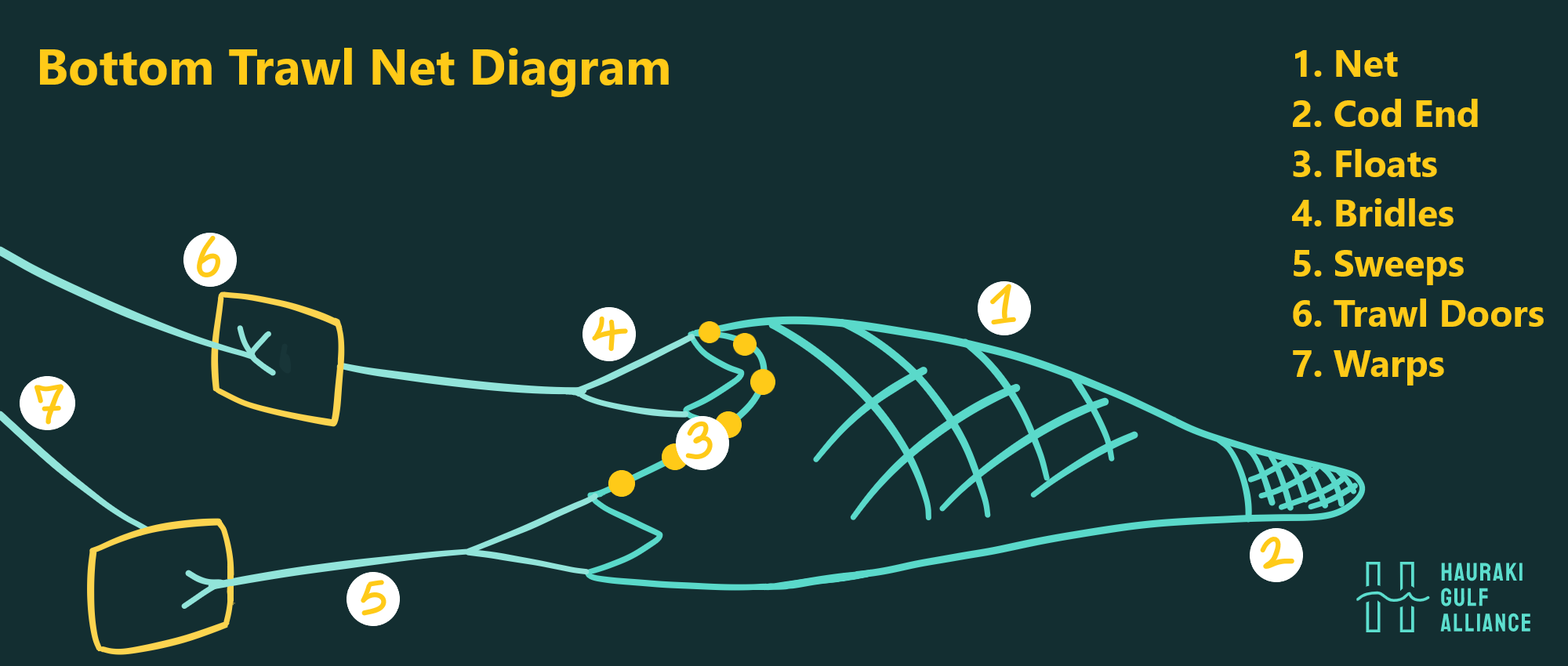 What is Bottom Trawling? – Hauraki Gulf Alliance
